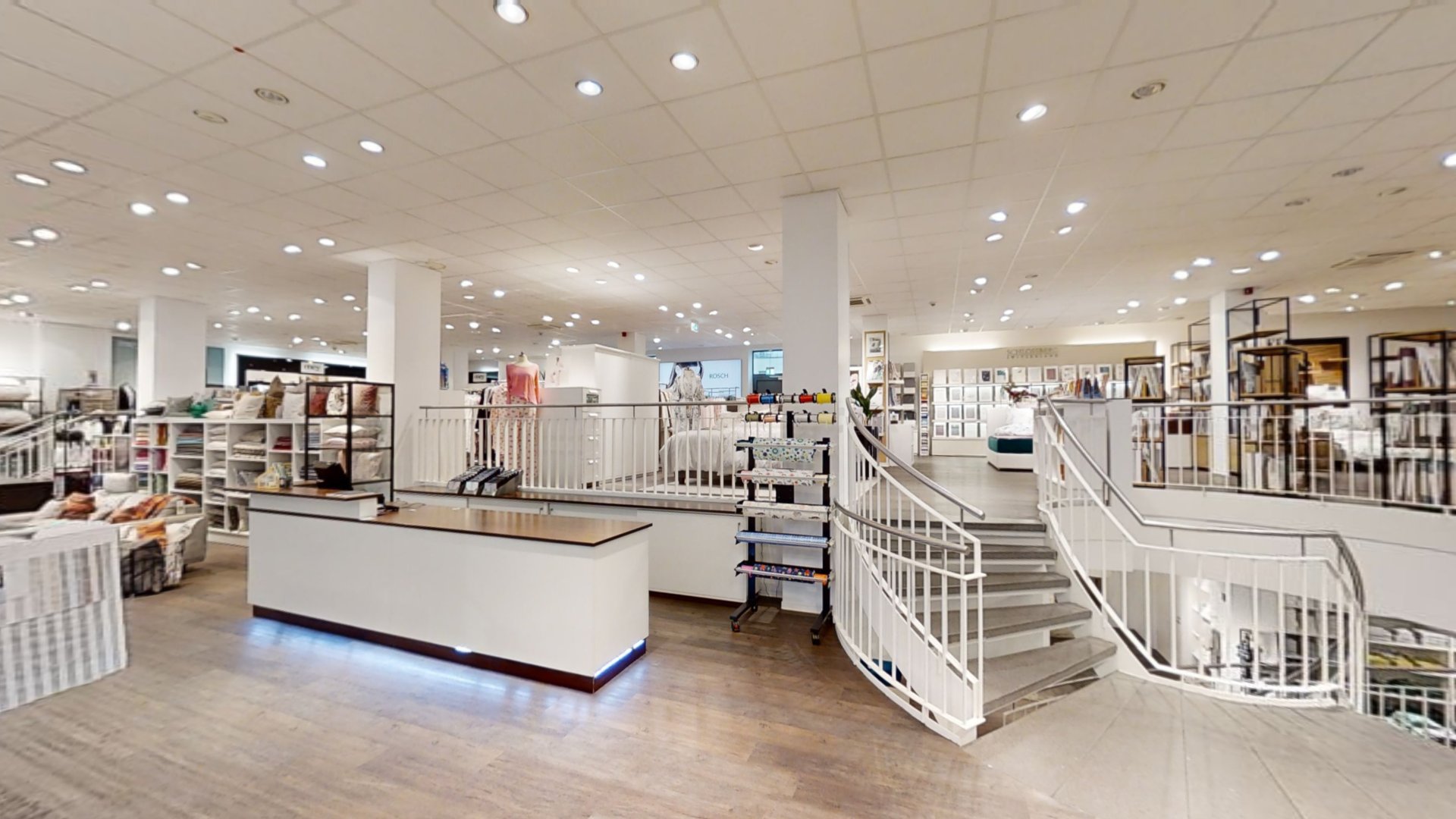 Max Kühl Köln 2024 - spazebaze.de